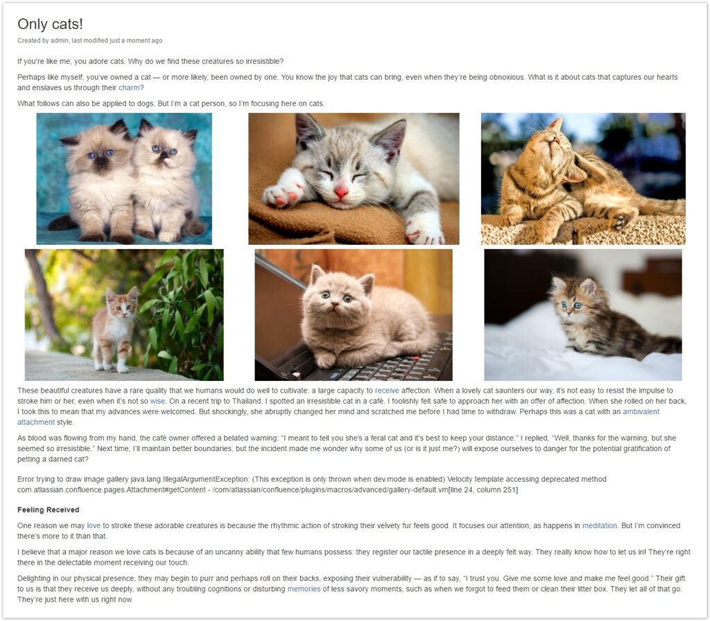 Four Approaches to Display Galleries of Pictures in Confluence - Stiltsoft