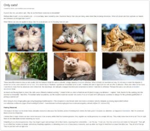 Four Approaches to Display Galleries of Pictures in Confluence - Stiltsoft