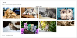 Four Approaches to Display Galleries of Pictures in Confluence - Stiltsoft