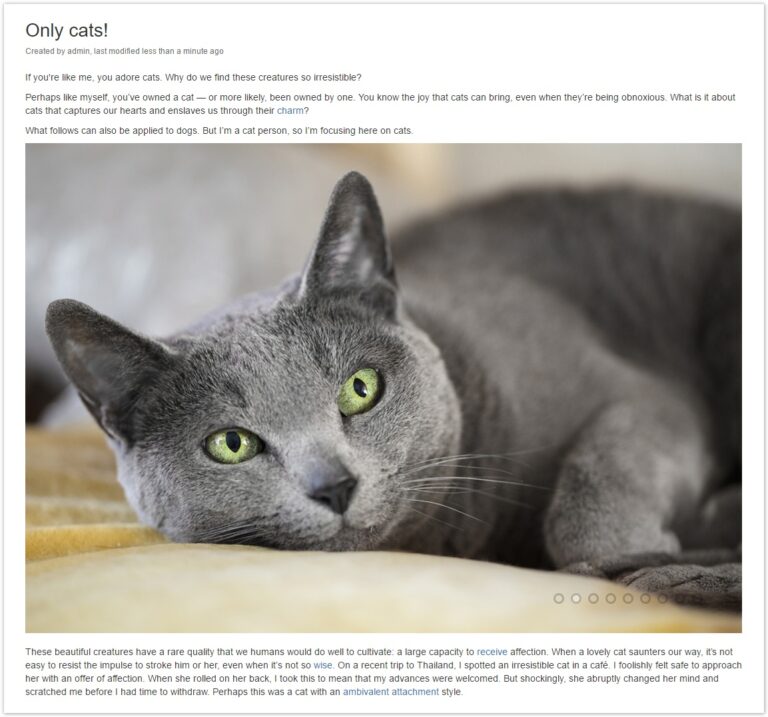 Four Approaches to Display Galleries of Pictures in Confluence - Stiltsoft