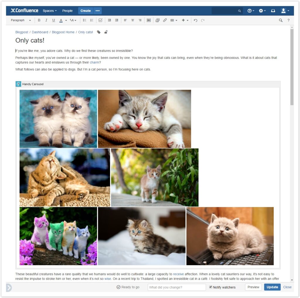 Four Approaches to Display Galleries of Pictures in Confluence - Stiltsoft