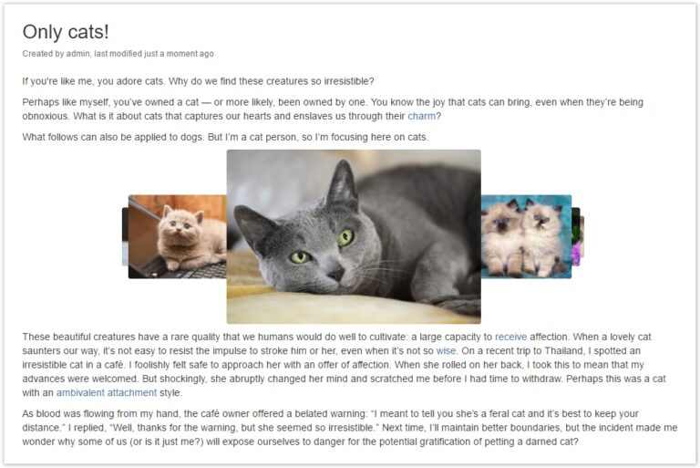 Four Approaches to Display Galleries of Pictures in Confluence - Stiltsoft