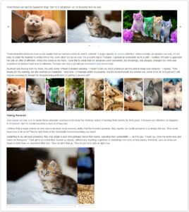 Four Approaches to Display Galleries of Pictures in Confluence - Stiltsoft