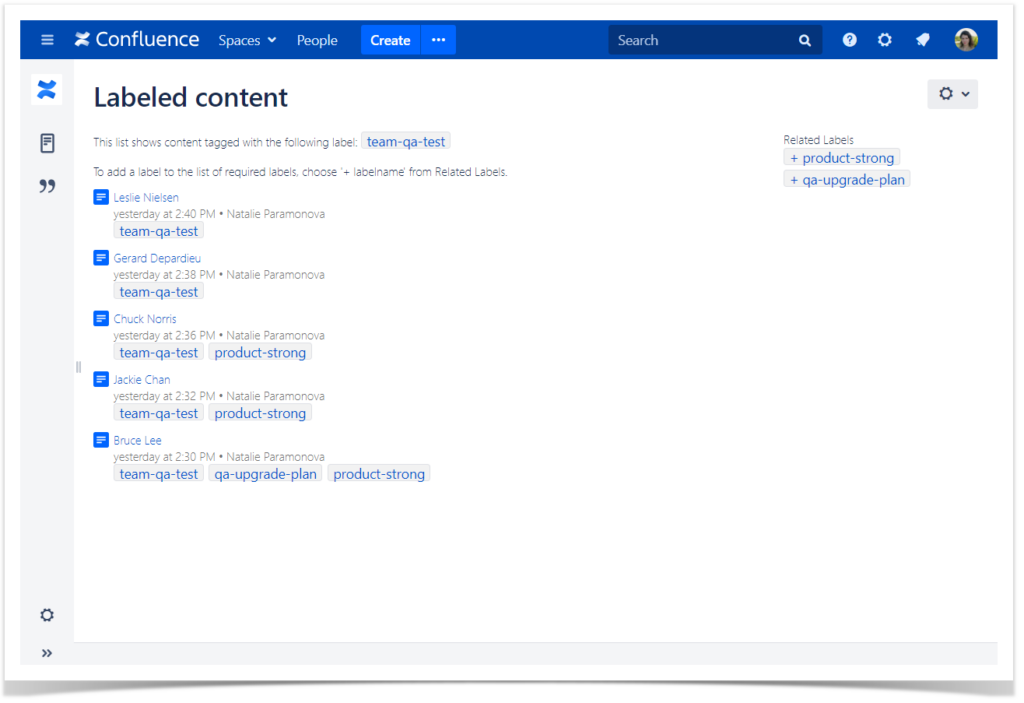 Project Development in Confluence Explained Simply - Stiltsoft